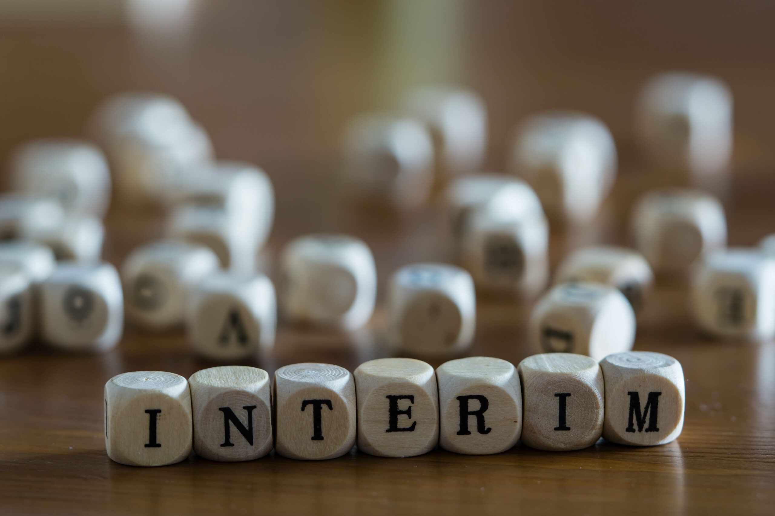 Interim written with wooden cubes | TRANS.Biz