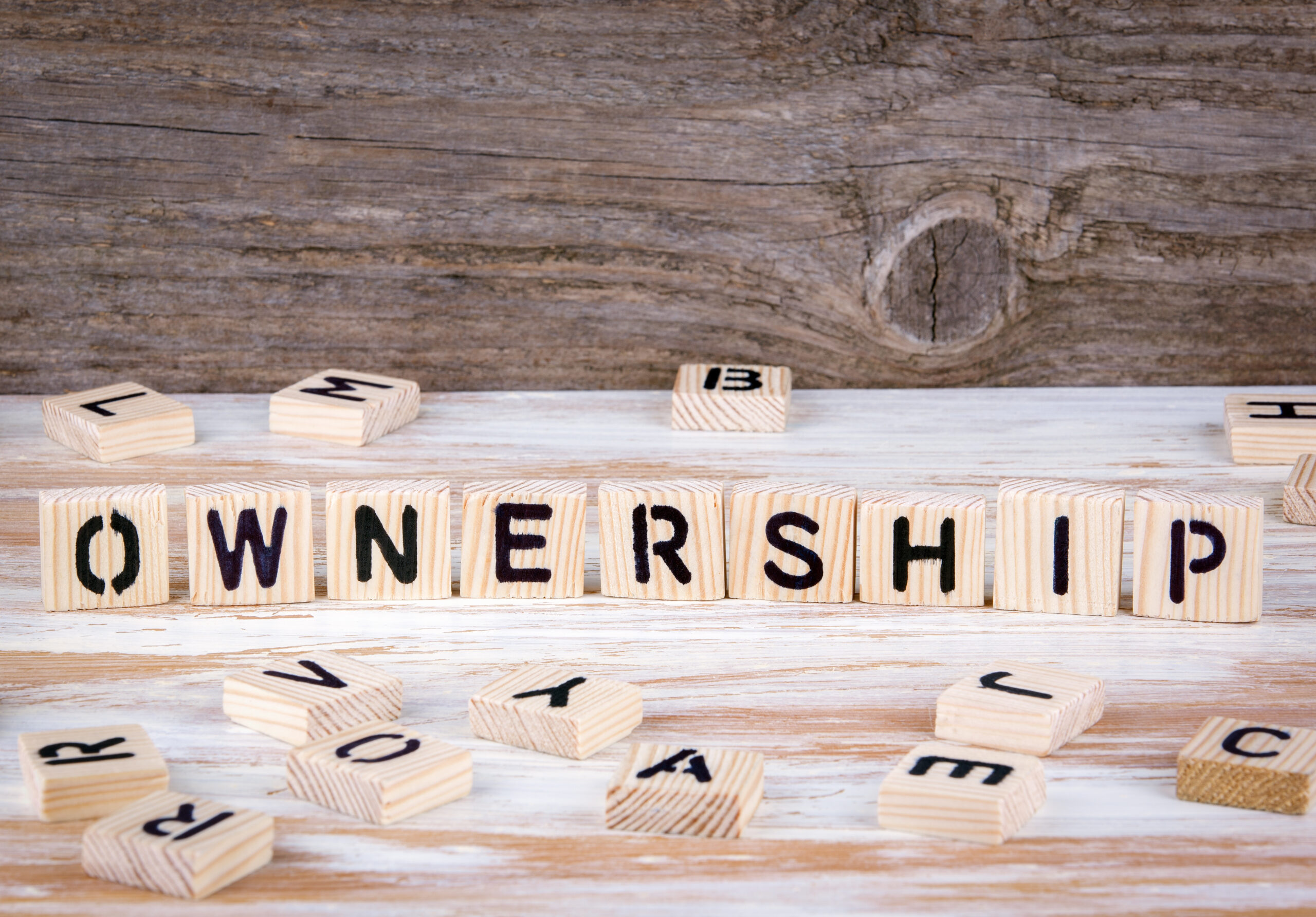 Ownership from wooden letters | TRANS.Biz